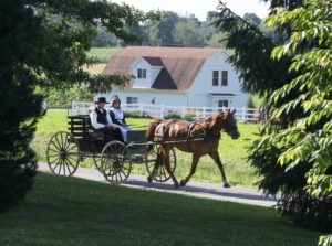 How Do Amish Make Money? (7 Income Sources Revealed) | AMPLIFY XL